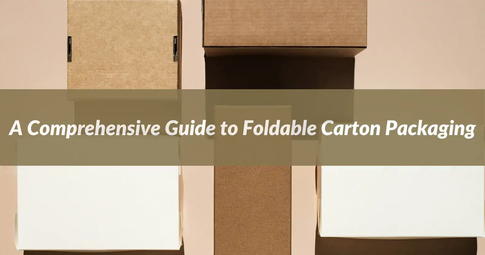 A Comprehensive Guide to Foldable Carton Packaging